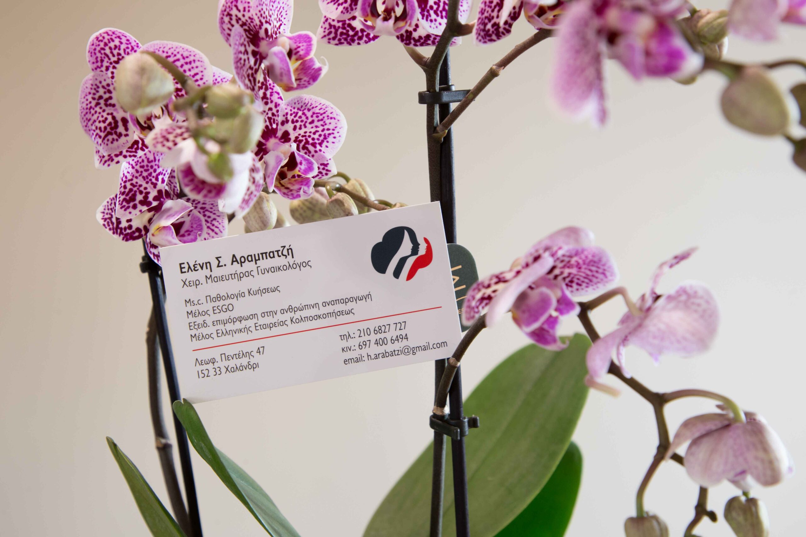 ΕΠΙΚΟΙΝΩΝΙΑ - ΑΡΑΜΠΑΤΖΗ ΕΛΕΝΗ